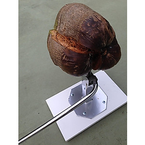 Gitachi EASY Coconut Husk opener 17 inch Tall- Stainless