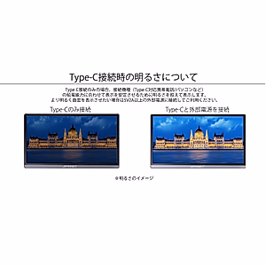 JAPANNEXT JN-MD-IPS1563FHDR-T 15.6-Inch Touch Compatible Mobile Monitor, USB Type-C Mini HDMI