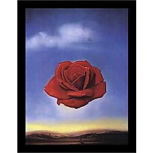 Buyartforless IF HG AP792 2 Black Plexi Framed Meditative C 1958 by Salvador Dali 28X22 Art Print Poster Wall Decor Museum Masterpiece Red Rose Blue Sky Famous Painting