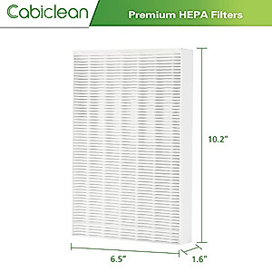 6 Pack HPA300 Filter R True HEPA Replacement Filters for Honeywell HPA300, HPA200, HPA100, HPA090 Series and HPA5300, Replacements for Honeywell Filter R (HRF-R3 & HRF-R2 & HRF-R1) White