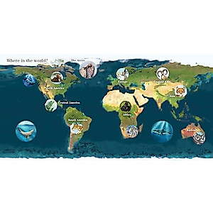 T Is for Tiger: A Toddler's First Book of Animals