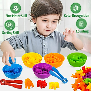 RAEQKS Counting Sorting Toys Matching Stacking Toys with Bowls Preschool Learning Activities Educational Sensory Game Montessori STEM Toy Daycare Sets Animals Gifts for Toddlers Kids Boys Girls