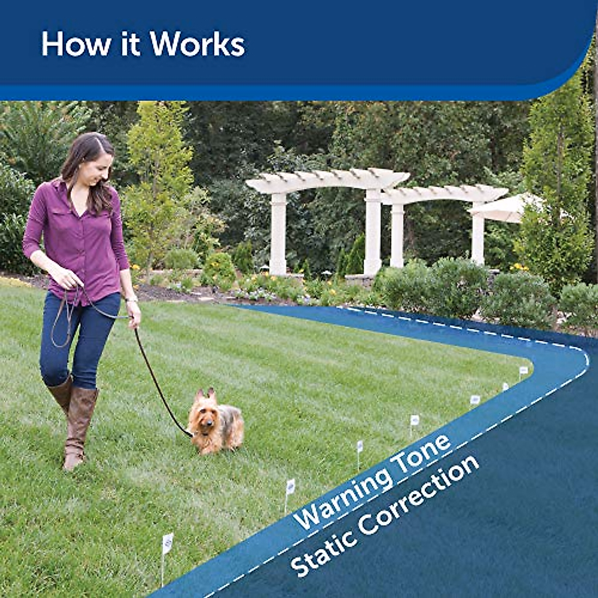 PetSafe Rechargeable In-Ground Fence for Dogs and Cats - from The Parent Company of Invisible Fence Brand – Inground Wire Not Included – Pick Your Wire Gauge Separately