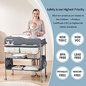 Sweeby Portable Baby Changing Table, Foldable Changing Table Dresser Changing Station for Infant, Waterproof Diaper Changing Table Pad Topper, Mobile Nursery Organizer for Newborn Essentials,Dark Grey