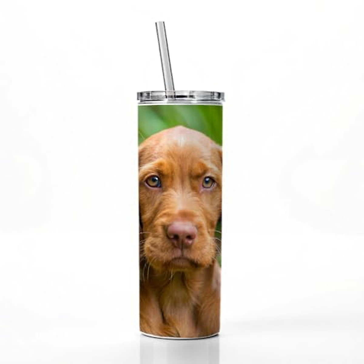 Wirehaired Vizsla Dog Puppy Photo Skinny Tumbler 20oz with Straw Insulated Water Bottle Gift
