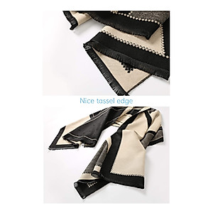 Jeelow Winter Scarf Scarfs For Women, Cashmere Like Blanket Scarf Pashmina Shawls And Wraps Scarves (Abstract)