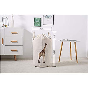 Movado Stainless Steel Case (Model: 3640002)