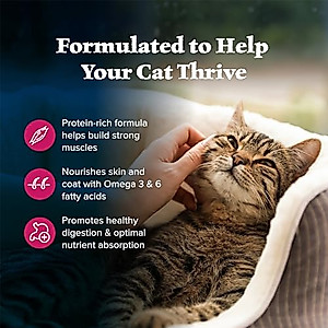 Blue Buffalo Wilderness Natural Adult Dry Cat Food, High-Protein and Grain-Free Diet, Supports Healthy Muscle Development and a Healthy Immune System, Salmon, 5-lb Bag