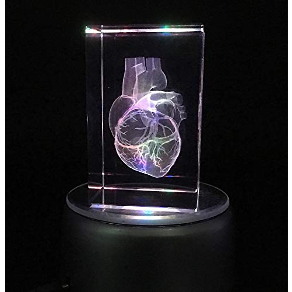 3D Human Heart Anatomical Model Paperweight(Laser Etched) in Crystal Glass Cube Science Gift (No Included LED Base)(3.1x2x2 inch)