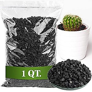 Sukh Horticultural Charcoal for Plants - 1Qt. Natural Earth Regulated Supplement for Potting Soil Indoor Plants, Succulent Soil, Orchid Potting Soil, Paphiopedilum, Bonsai, Terrarium.
