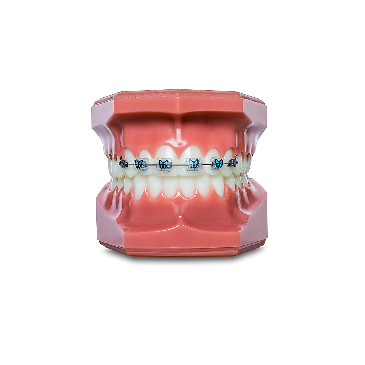 Snapcaps Braces Bumper Cover, Orthodontic Bracket Wax Substitute, Alternative Snap-on Braces Guard Braces Accessories 10 pack (Butterfly)