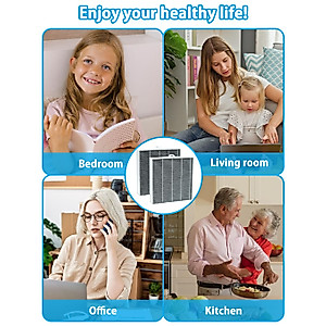 BBT BAMBOOST 5400 ComboFilter Compatible with Blueair DustMagnet 5400 Series, 5410i, 5440i Air Purifier, 2-in-1 HEPA Dustmagnet 5400 ComboFilter, 2 Pack