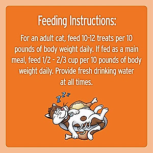 TEMPTATIONS Classic Treats for Cats Tantalizing Turkey Flavor 6.3 Ounces (Pack of 10)