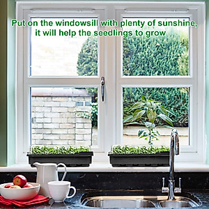 TITA-DONG 6 Pack Seed Propagator Tray Set, Mini Sturdy Windowsill Trays with Cover Dome, Greenhouse Grow Trays Mini Propagator for Seeds Growing Starting(White)