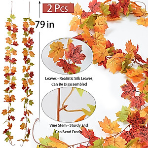 mizii 2 Strands Autumn Artificial Maple Vines Garland 79" Fake Vine with Silk Fall Leaves Faux Hanging Plants Greenery Decoration for Bedroom Home Wall Party Arch Apartment Room Decor (Maple)