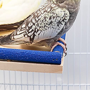 Bird Wooden Perch Stand, Bird Feeder Toy, Natural Wooden Bird Cage Accessories, Paw Grinding Standing Perch with Rough Quartz Sand Surface for Parrot, Parakeet, Budgies, Cockatiel, Rats(Blue)