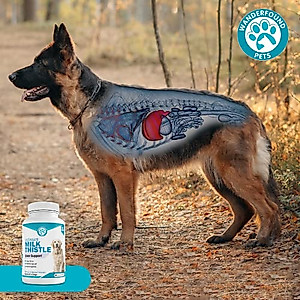 Wanderfound Pets Milk Thistle for Dogs – Tasty Salmon & Bacon Flavored Natural Liver Support for Pets – Kidney Cleanse Detox & Repair Formula Manufactured in The USA – 100 Chewable Tablets