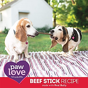 PawLove Treats Quick and Crunchy Gourmet Beef Stick Recipe Dog Snacks – Light and Airy Chew – Rich in Delicious Beef Flavor – Healthy Grain Free, High Protein Chew - Small Dog Size - (1.3 lb. Bag)