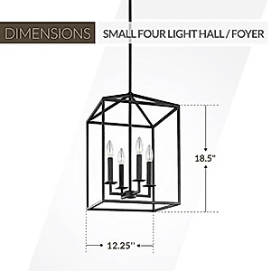 Generation Lighting 5215004-112 Perryton Small Four - Light Hall/Foyer Hanging Modern Fixture, Midnight Black