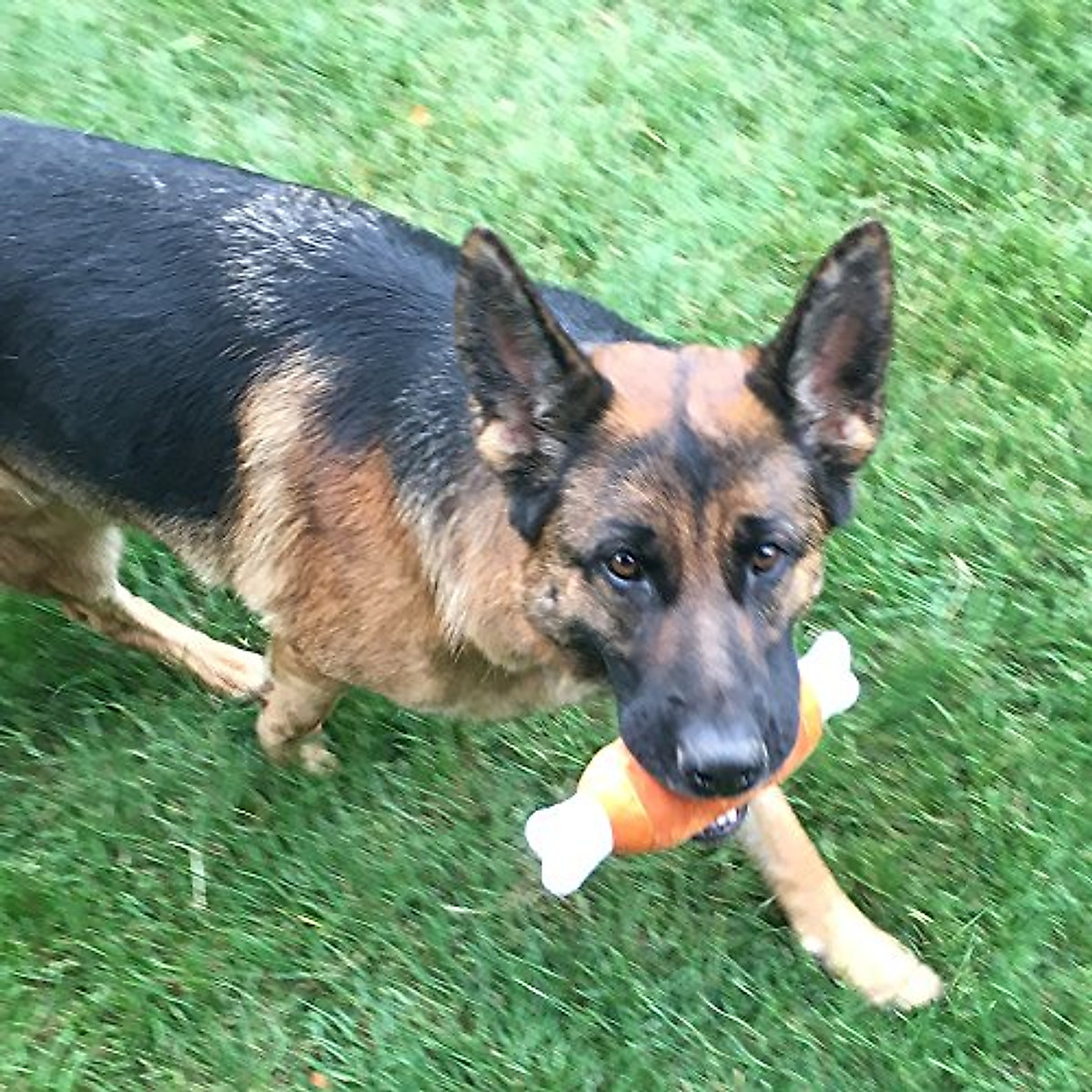 Jalousie 12 Pack Plush Animal Dog Toy Dog Squeaky Toys Cute Pet Plush Toys Stuffed Puppy Chew Toys for Small Medium Dog Puppy Pets - Bulk Dog Toys (12 Pack Cute)