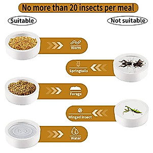Reptile Food Water Bowl Set Lizard Feeder Ceramics Bowls Worm Live Fodder Container for Bearded Dragon Chameleon Lizard Hermit Crab Gecko Tortoise Spider Pet 3 Pieces