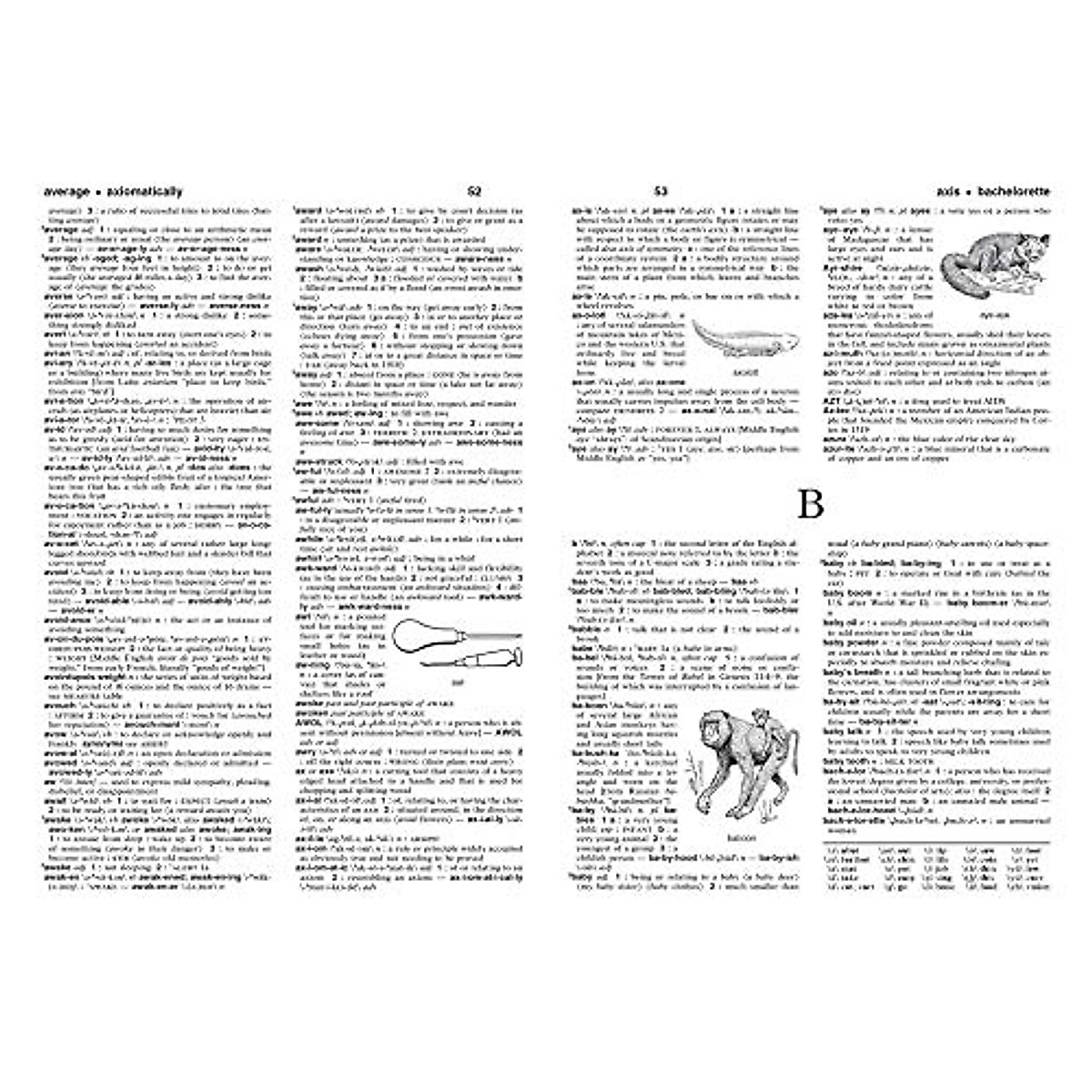 Merriam-Webster's Intermediate Dictionary, Newest Edition, (The Authoritative Middle School Dictionary)