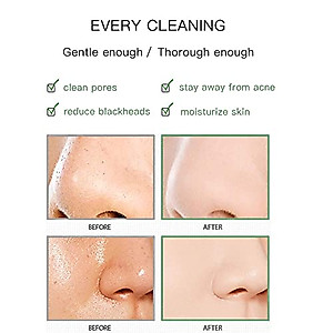 Eliversion Green Tea Purifying Clay Face Mask, Cleansing Mud Mask for Men and Women, Moisturizing Oil Control Shrink Remove Blackheads, Shrink Pores, Improve Skin Tone (Green Tea)