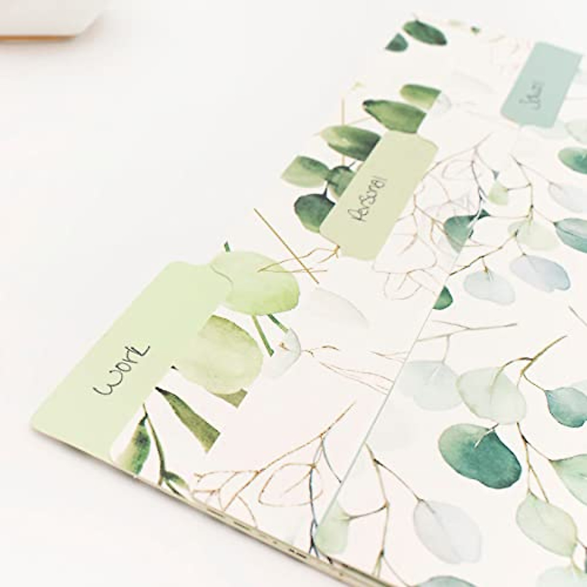 bloom daily planners Decorative File Folders - Set of Six Letter Size (8.5” x 11”) Organizers, 1/3 Cut Tabs - Assorted Designs - Eucalyptus
