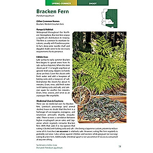 Wild Edible Plants of Arizona