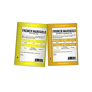 Marigold Seeds for Planting Outdoors (4 Variety Pack) French Marigold Petite Mix, Dainty Marietta, Sparky, and African Marigold Seeds Crackerjack for Pollinators Wildflower Seed by Gardeners Basics