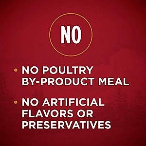 Purina ONE True Instinct High Protein Formula with Real Beef and Salmon Dry Dog Food - 15 lb. Bag