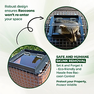 (Original) Rhino Excluders® R108 Raccoon One Way Excluder Door - Live Trap Alternative - Raccoon Eviction - Perfect for Outdoor Spaces - Easy DIY Installation - Pack of 1