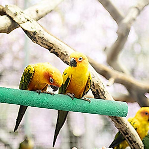 3Pcs Bird Perchs Bird Stand Toy and 1Pcs Bird Rope Perches, Wood Parrot Stand Platform Colorful Sand Paw Grinding Stick Cage Accessories Exercise Toys for Cockatiel Conure Budgies Parakeet (Wood+Rope)