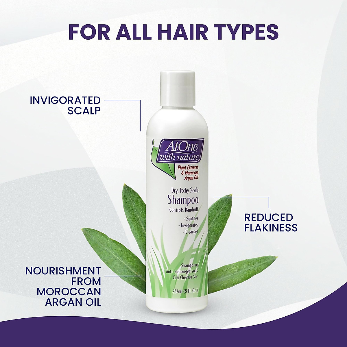 AtOne with Nature Dandruff Control Shampoo - 16 oz Liquid Shampoo for Dry Hair - Fresh Scent, Dandruff Control Solution