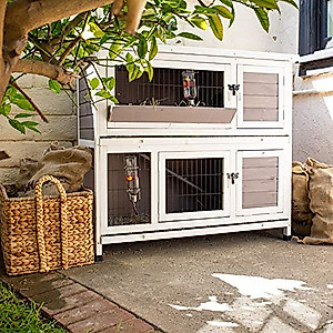 Be Mindful | Bunny Hutch for Rabbits and Other Small Animals