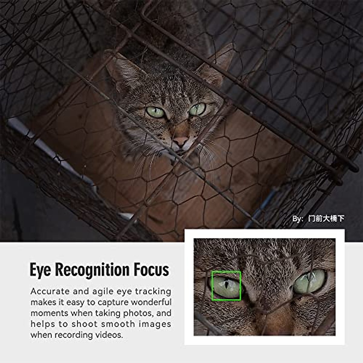 TTartisan 27mm F2.8 Autofocus Lens, Compatible with Fuji X-Mount Cameras XS10 X-A5 X-A7 X-M1 X-M2 X-E4 X-T1 X-T10 X-T2 X-T20 X-T3 X-T4 X-T100 X-T200 X-T30 X-Pro1 X-Pro2 X-Pro3 X-E1
