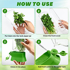 Baderke 2 Pieces Herb Saver for Refrigerator Herb Keeper Herb Storage Containers Herb Saver Pod for Cilantro, Parsley, Asparagus, Keeps Vegetables for 2-3 Weeks (Green)