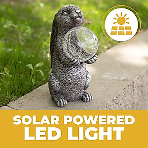 VP Home Mystical Rabbit Solar Powered Outdoor Decor Garden Light with Flickering LED Crackled Glass Globe Great Addition for Your Garden Solar Powered Light Garden Decorations Gifts