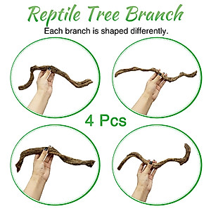 Apatal Reptile Branch Decor Snake Climbing Wood Branches Lizard Habitat Decorations Terrarium Wooden Tree Trunk Ornament for Bearded Dragon Snake Geckos Chameleon Frog 4 Pcs (14-16 inch)