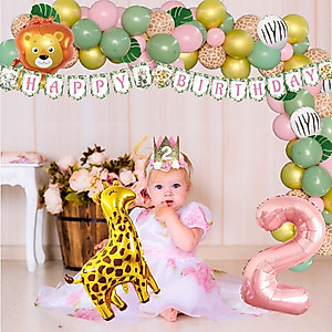 Fiesec Two Wild Birthday Decorations Girl, Jungle Safari Animal Theme 2nd Party Decorations Backdrop Balloons Banner Cake Cupcake Topper Poster Crown Lion Cheetah Giraffe Pink 119 PCs