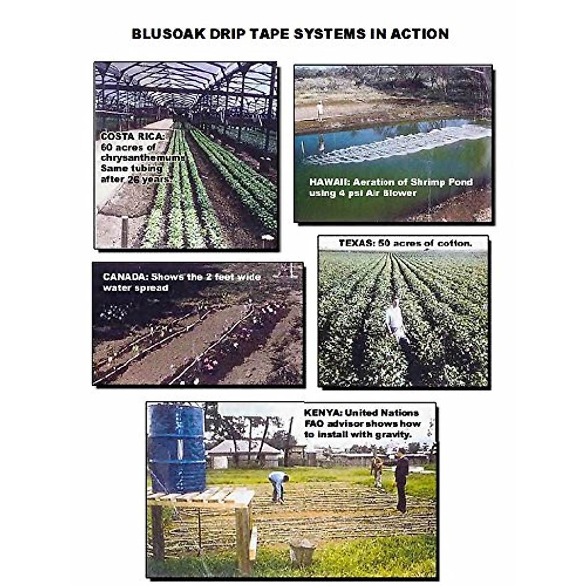 Blumat EasySoak 50’ Automatic Watering Slow Soaker Hose System for Gardens, Greenhouses, and Farms – Flow Restrictor, Adapters, and Fittings Included