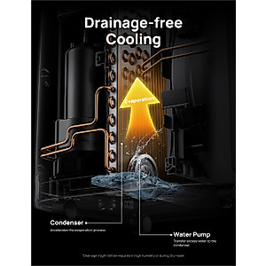 Dreo Portable Air Conditioners, 12,000 BTU AC Unit for Bedroom with Drainage-free Cooling, 46dB Quiet, APP/Voice/Remote, 24h Timer with Fan & Dehumidifier, Smart Air Conditioner for Room Indoors