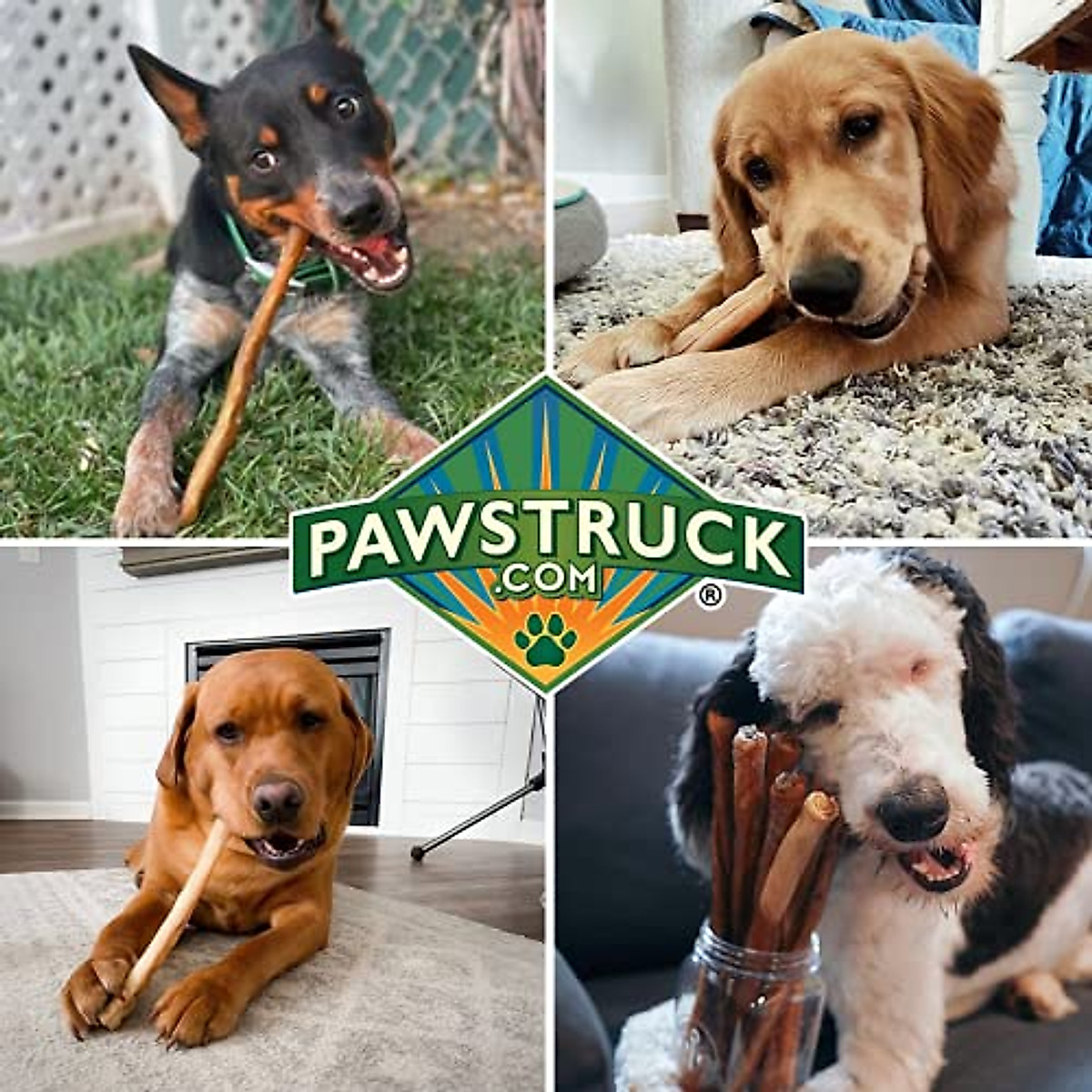 Pawstruck Beef Collagen Sticks for Dogs, Long Lasting Chews for All Breeds, 5-Count Bully Sticks and Rawhide Alternative Treats w/Chondroitin & Glucosamine, Low Fat & High Protein Dental Treats