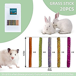 HOORITO 20Pcs Natural Flowers Flavored Timothy Hay Sticks,Rabbit Chew Toys for Teeth,Guinea Pig chew Sticks,Perfect Chew Toys for Bunny Hamsters Chinchillas Guinea Pigs Rats Gerbils (20-Pack)