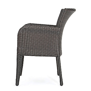 Christopher Knight Home Anaya Outdoor Wicker Dining Chairs, 2-Pcs Set, Multibrown