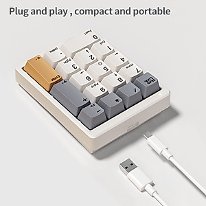 Kisnt Mechanical Number Pad,Hot Swappable Numpad Wired USB 17 Keys Keypad White Backlit Numeric Keypad with PBT Keycaps for Laptop PC Compact Keyboards(Retro Beige, Blue Switch)