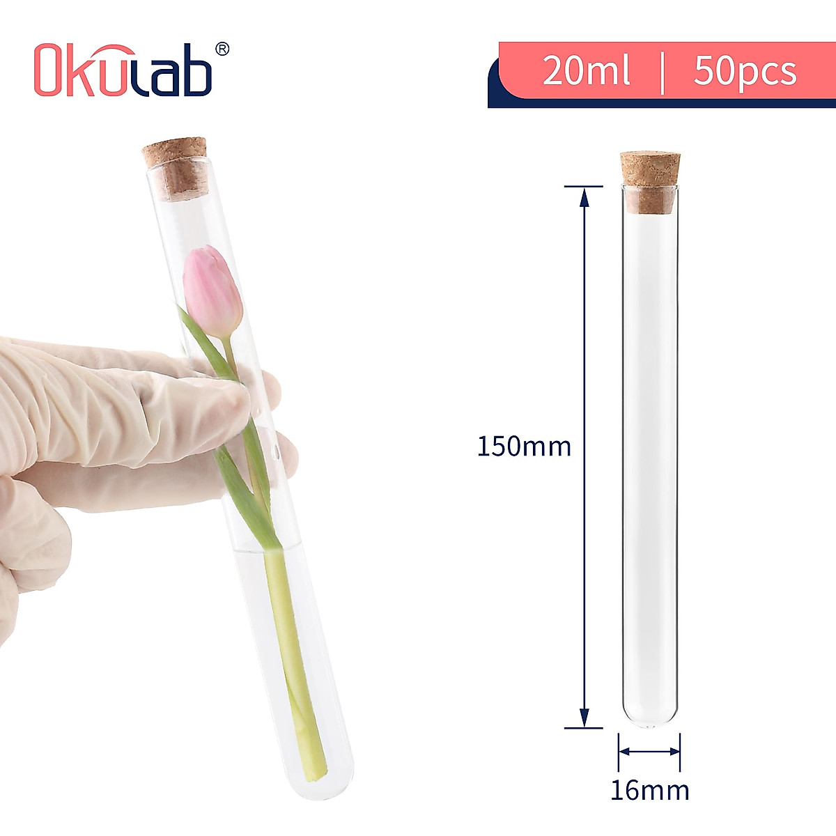 Okulab Clear Glass Test Tubes 50PCS, 16x150mm (20ml) Glass Test Tube with Cap and Brush for Scientific Plants, TTGS02A50