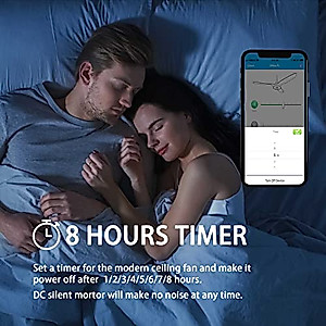 SMAAIR Smart Ceiling Fan with light, 3 Blades Black Outdoor Ceiling Fan with DC Motor,10-Speed,1-8 Hours Timer Schedule, Compatible with Remote Control/Alexa/Google Home/Siri (48", Black/Gold)