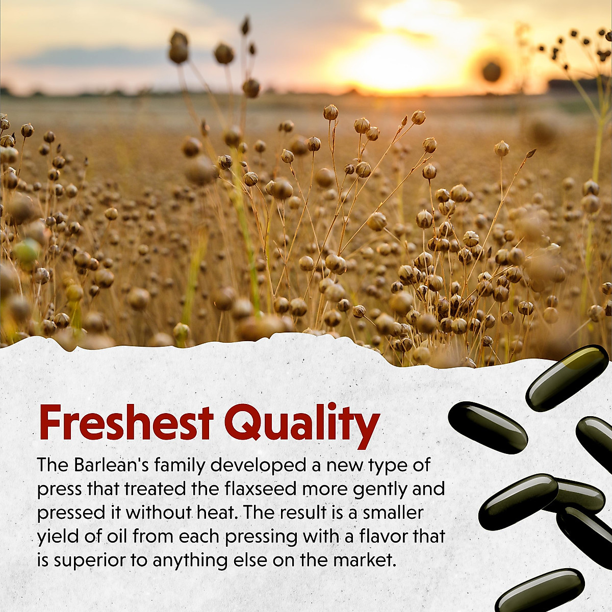 Barlean's Lignan Flaxseed Oil Softgels, Cold-Pressed Flax Seed Supplement with 1,550 mg ALA Omega-3 Fatty Acids for Joint & Heart Health, 1000mg, 250 ct