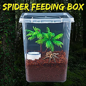 5 Pack Spider Terrariums Breeding Box Insect Hatching Container Acrylic Breeding Box for Arboreal Spider Tarantula Mantis Scorpion Centipede Small Reptiles